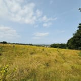 Wepre Park Circular, Flintshire, Wales - 493 Reviews, Map | AllTrails