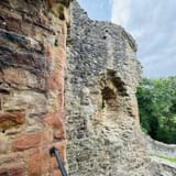 Wepre Park Circular, Flintshire, Wales - 493 Reviews, Map | AllTrails