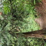 Puyallup Loop Trail, Washington - 1,414 Reviews, Map | AllTrails