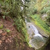 Racehorse Falls Trail, Washington - 433 Reviews, Map | AllTrails