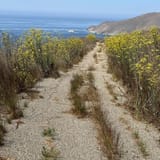 Point Sal Overlook, California - 655 Reviews, Map | AllTrails