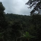 Mount Dinor Trail, Davao del Sur, Philippines - 10 Reviews, Map | AllTrails
