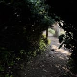 Trinidad Head/Tsurai Loop, California - 1,320 Reviews, Map | AllTrails