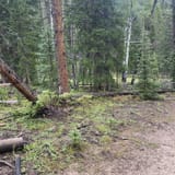 Timber Lake Trail, Colorado - 712 Reviews, Map | AllTrails