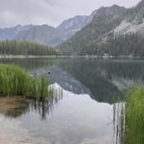 Lake Stuart Trail, Washington - 759 Reviews, Map | AllTrails