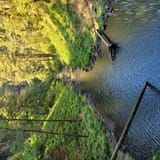 South Falls and Maple Ridge Loop, Oregon - 2,699 Reviews, Map | AllTrails