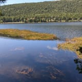 Lower Hadlock Pond Loop Trail, Maine - 618 Reviews, Map | AllTrails