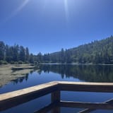 Jenks Lake Trail, California - 1,096 Reviews, Map | AllTrails