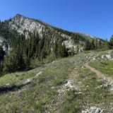 Turtle Mountain Trail, Alberta, Canada - 942 Reviews, Map | AllTrails