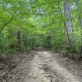 Speedwell Forge Hiking Trail, Pennsylvania - 1,196 Reviews, Map | AllTrails