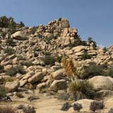 Hidden Valley, California - 6,000 Reviews, Map | AllTrails
