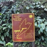 Makiki Valley Loop, Oahu, Hawaii - 5,968 Reviews, Map | AllTrails