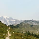 Panorama Point via Skyline Trail, Washington - 6,058 Reviews, Map ...