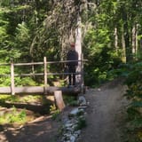 Mount Kit Carson Trail, Washington - 1,047 Reviews, Map | AllTrails