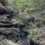 Turkey Run Outer Loop, Indiana - 634 Reviews, Map | AllTrails