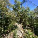 Peters Mountain Ridge via Appalachian Trail, Pennsylvania - 1,542 ...