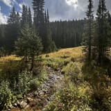 Butler Gulch Trail, Colorado - 3,266 Reviews, Map | AllTrails