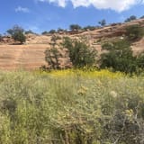 Church Rock Trail, New Mexico - 523 Reviews, Map | AllTrails