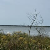 Muskegon Lakeshore Trail, Michigan - 221 Reviews, Map | AllTrails