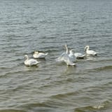 Muskegon Lakeshore Trail, Michigan - 221 Reviews, Map | AllTrails