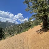 Columbine Trail, Colorado - 2,000 Reviews, Map | AllTrails