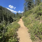 Columbine Trail, Colorado - 2,002 Reviews, Map | AllTrails