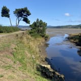 Salishan Spit Trail, Oregon - 307 Reviews, Map | AllTrails