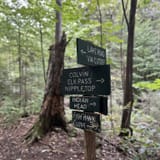 Mount Colvin and Blake Peak Trail, New York - 1,476 Reviews, Map ...