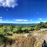 Mount Roberts Trail, New Hampshire - 2,781 Reviews, Map | AllTrails