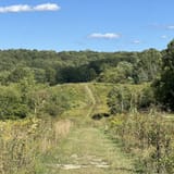 Salt Run, Ohio - 1,515 Reviews, Map | AllTrails