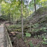 Salt Run, Ohio - 1,515 Reviews, Map | AllTrails