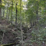 Salt Run, Ohio - 1,515 Reviews, Map | AllTrails