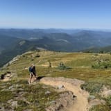 McNeil Point Trail, Oregon - 3,327 Reviews, Map | AllTrails
