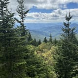 Andrews Bald Trail, North Carolina - 2,699 Reviews, Map | AllTrails
