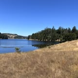 Bon Tempe Lake Loop, California - 2,055 Reviews, Map | AllTrails