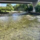 David J Culham Trail, Ontario, Canada - 1,303 Reviews, Map | AllTrails