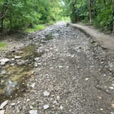 David J Culham Trail, Ontario, Canada - 1,303 Reviews, Map | AllTrails