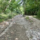 David J Culham Trail, Ontario, Canada - 1,303 Reviews, Map | AllTrails