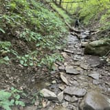 6 Ravine Challenge, Indiana - 1,163 Reviews, Map | AllTrails