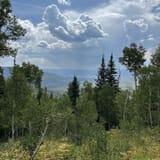 Thunderhead Hiking Trail, Colorado - 1,052 Reviews, Map | AllTrails