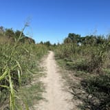 Good Water Loop, Texas - 777 Reviews, Map | AllTrails