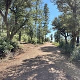 Ellison Creek Cascades, Arizona - 612 Reviews, Map | AllTrails