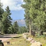 Ellison Creek Cascades, Arizona - 612 Reviews, Map | AllTrails