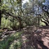 Ellison Creek Cascades, Arizona - 612 Reviews, Map | AllTrails