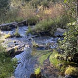 Government Springs 95A, Arizona - 651 Reviews, Map | AllTrails