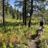 Government Springs 95A, Arizona - 651 Reviews, Map | AllTrails