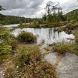 Crane Mountain Loop Hike, New York - 1,493 Reviews, Map | AllTrails