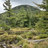 Crane Mountain Loop Hike, New York - 1,493 Reviews, Map | AllTrails