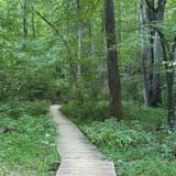 Bacon Ridge Trail: Phase 3, Maryland - 2,715 Reviews, Map | AllTrails
