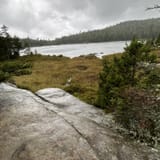 Crane Mountain Loop Hike, New York - 1,493 Reviews, Map | AllTrails